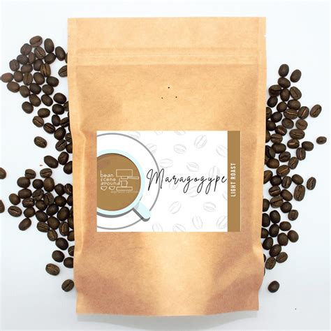 Maragogype - Bean Scene Around