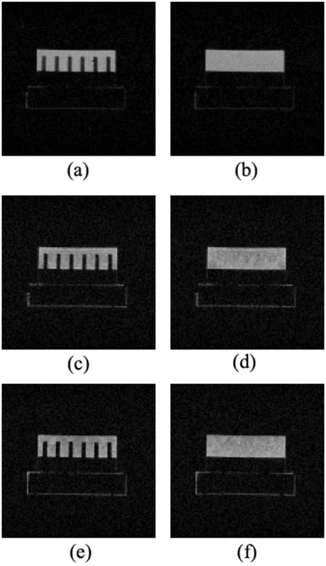 Intensity Images Showing Particle Distribution Over And Through The
