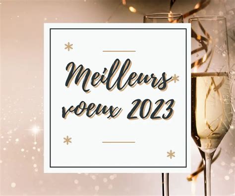 Meilleurs Voeux 2023