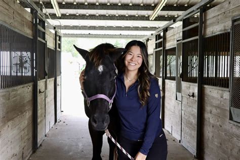 Jessica Hollis Equine Chiropractor Equine Directory