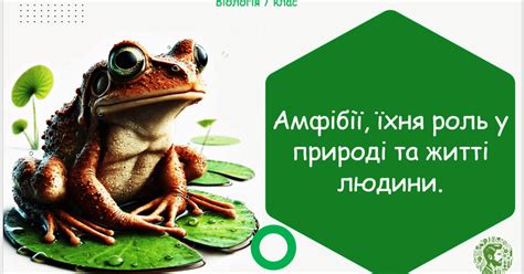 Презентація конспект уроку та робочі аркуші на тему Амфібії їхня роль у природі та житті