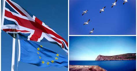 Eu Referendum Environmental Consequences Of Remain Or Leave Huffpost