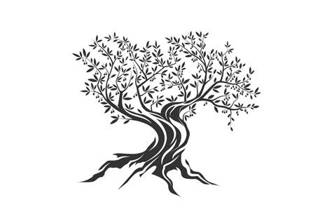 Vector Olive Tree Silhouette ~ Graphic Objects ~ Creative Market