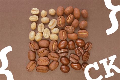 Anatomy Of A Source Code Coders Kitchen