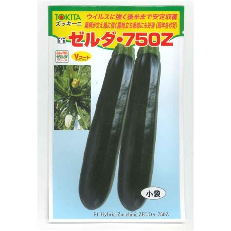 ズッキーニ ゼルダ・750z（tsx 750z） 10粒 Tokita 2411252 グリーンロフトネモト 通販 Yahoo
