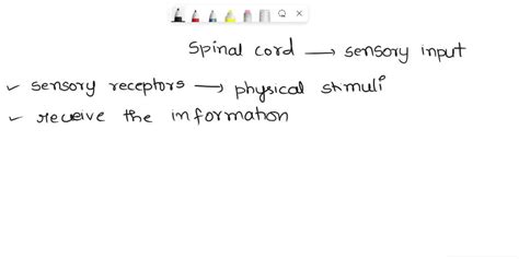 Solved The Purpose Of Is To Modify The Proximal Stimulus In A Given