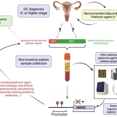 Schematic Representation Of Pipeline For Validation Of Dna