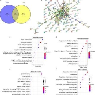 Hub Gene Analysis A The Interaction Network Of The Top Hub Genes Download Scientific