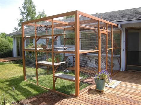 Incredible Catios By Catio Spaces In Seattle Plus Special Discount On