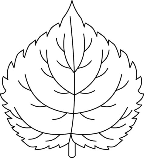 Premium Vector Mulberry Leaf Single Vector Black And White