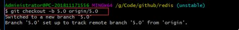 Git Github