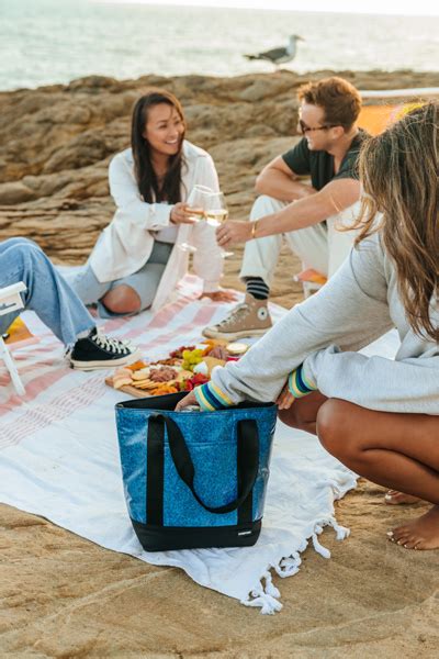 Das Perfekte Picknick Am Strand