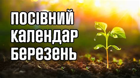 Лунный посевной календарь на март 2024 года