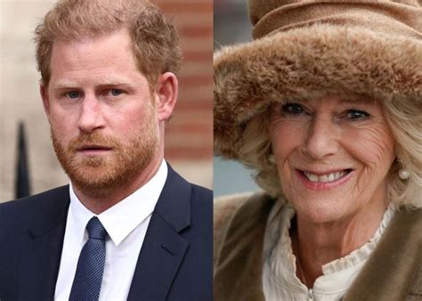 Prince Harry Outraged Queen Camilla Parker Due To His Reckless Behavior