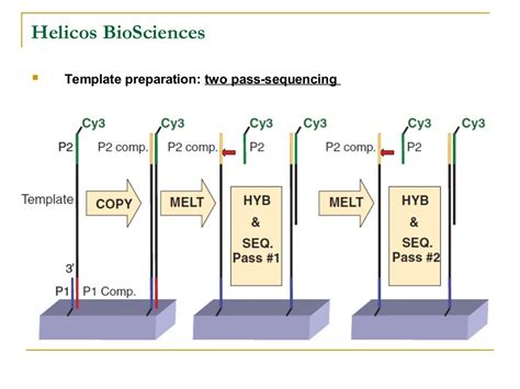 New Generation Sequencing Technologies An Overview