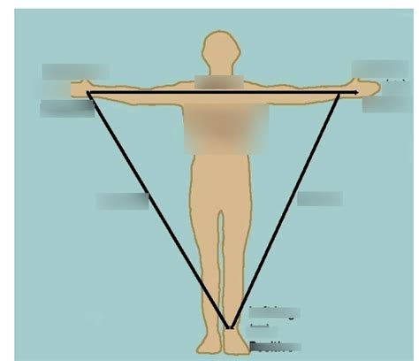 Hrt Diagram Quizlet