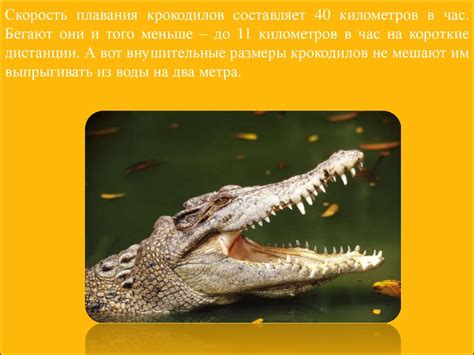 Животные, которые растут всю жизнь - презентация онлайн