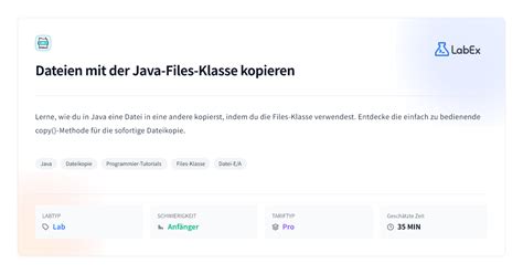 Java Dateikopie Programmier Tutorials Labex