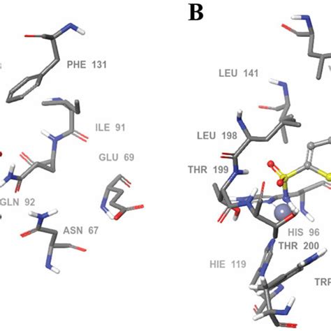 Binding Poses Of 5c A And 7a B In The Hcaii Active Site Download