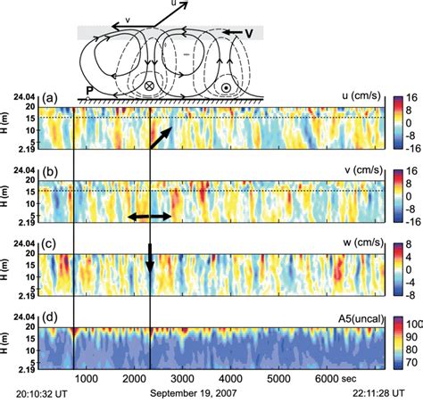 Three Dimensional Fluctuation Velocity Field Derived From Two Hours Of