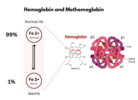 Postscript • The Blood Project