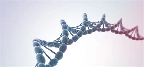 Mitochondrial Therapy Nutritional Therapist Shrewsbury Gut Nutrition