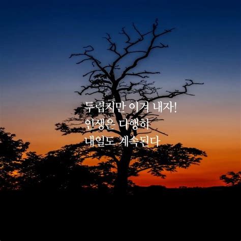 인생은 내일도 계속된다 힘들면 잠시 나무 근처의 벤치에 앉아 숨을 고르자 고민해도 달라질게 없다면 딱 오늘까지만 고민하고
