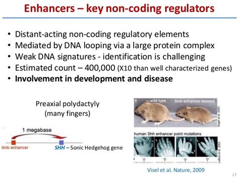Disease Interpretation Of Whole Genome Sequence Variants