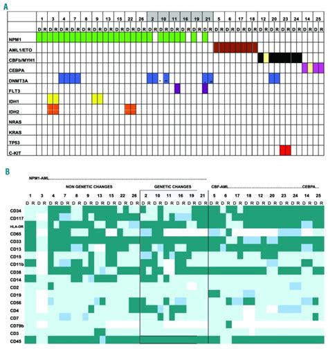 Clonal Genetic Evolution At Relapse Of Favorable Risk Acute Myeloid