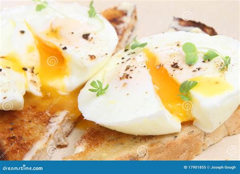 Poached Eggs On Toast Stock Image Image Of Butter Cress 17901855