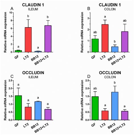 Relative Expression Fold Change Of Claudin 1 A B And Occludin C D