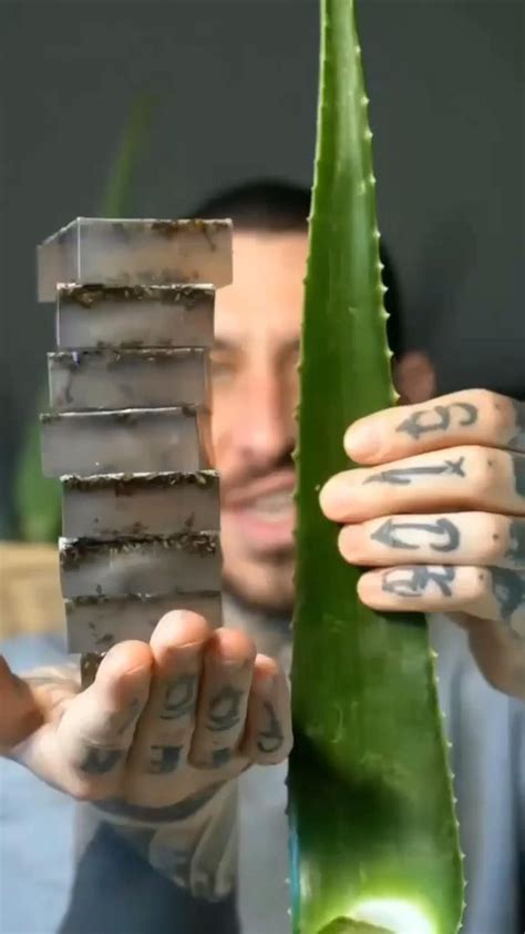 Diy Homemade Aloe Vera Soap Homemade Skin Care Soap Natural Hand Soap
