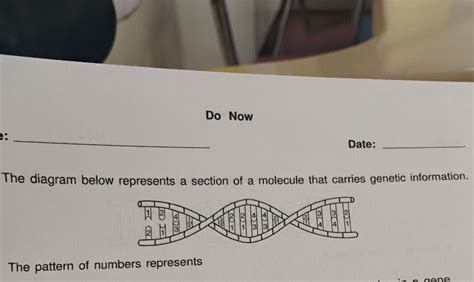 Do Nowdate The Diagram Below Represents A Section Of A Molecule That