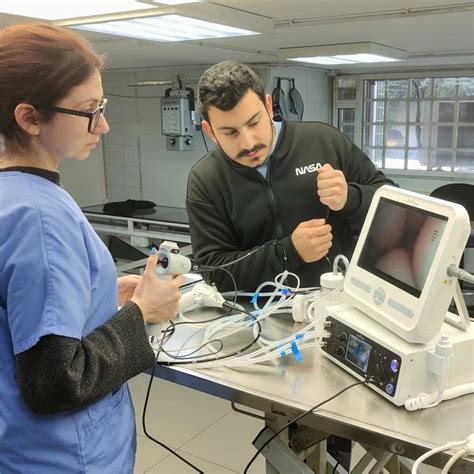 21 Veterinary Endoscopy Monitor Connected To Endoscopy Workstation