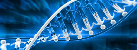 Sperm Immobilization By Intracytoplasmic Sperm Injection Icsi