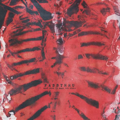 Passthru What Does It Make You Feel Sounds Of Subterrania