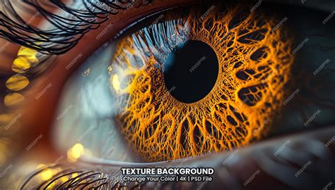 Close Up View Of Female Eye With Multicolored Eyeball Texture