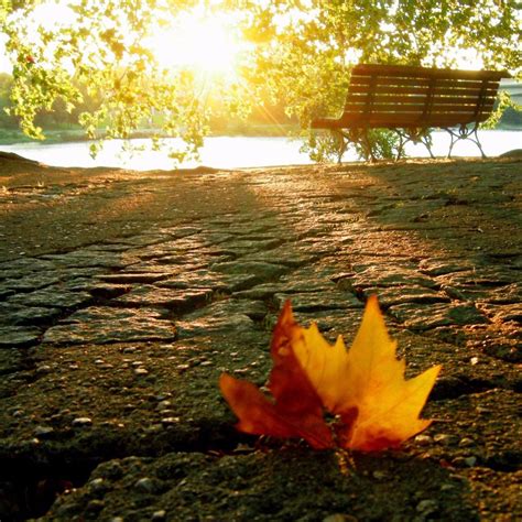 The Dying Process Why We Need To Talk About It Pathways EOL