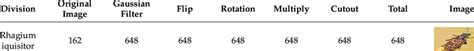Data Quantity Results Using Model Of Data Augmentation Technique