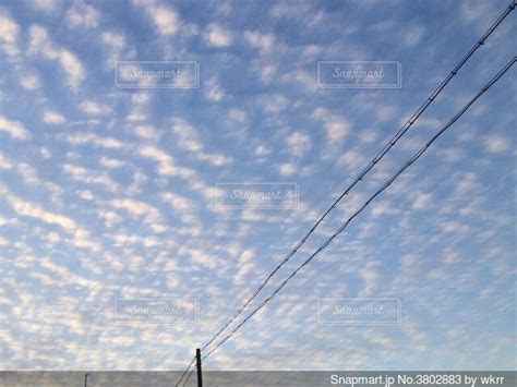 澄んだ青空の写真・画像素材 Snapmart（スナップマート）