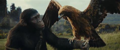 Il Regno Del Pianeta Delle Scimmie Il Teaser Trailer Italiano