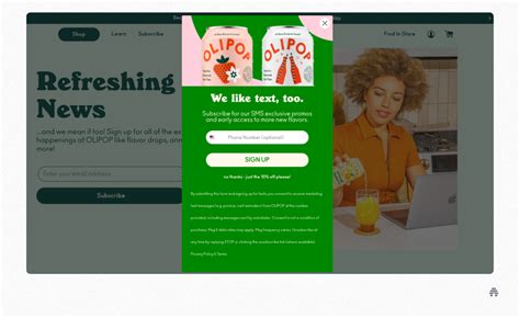 Top 16 Opt In Email Examples Winning Opt In Forms And Email Campaigns