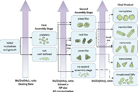 Figure 1 From Zno Colloid Crystal Facet Type Determines Both Au Photodeposition And