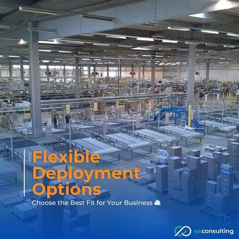 Deploymentoptions Warehousemanagement Sage200 Wms Es Consulting