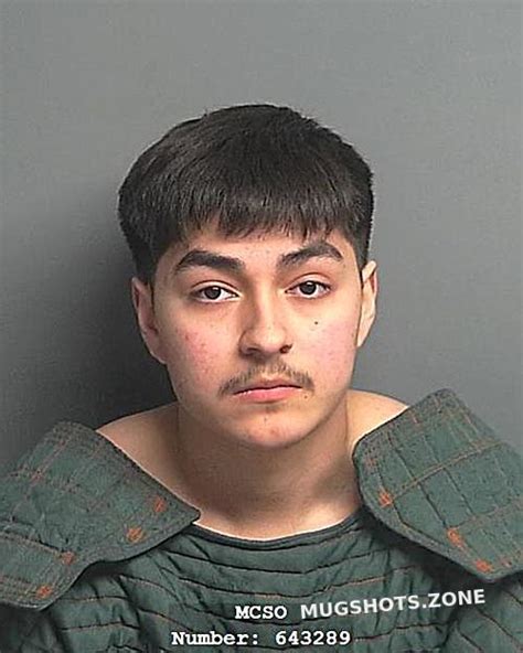 Levario Gabriel 03 05 2025 Montgomery County Mugshots Zone