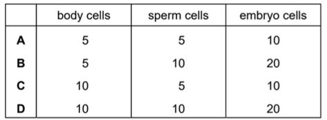IGCSE Biology Sexual Reproduction In Humans IGCSE Style Questions Paper