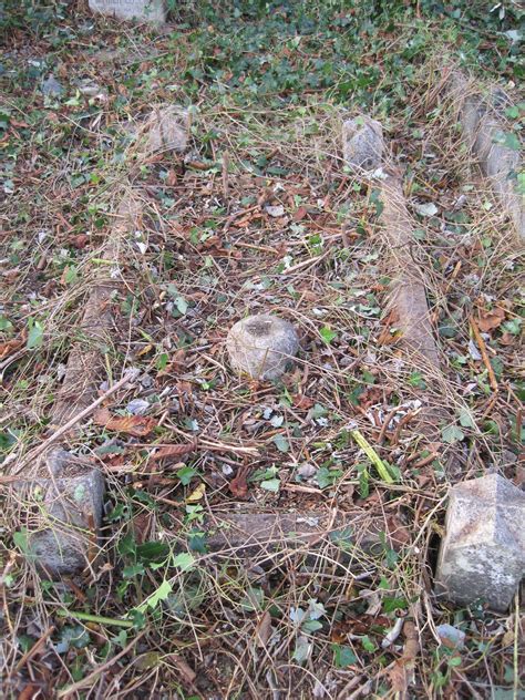 Eleanor Nellie Bevis Elizabeth Bevis Thomas Bevis Mill Road Cemetery