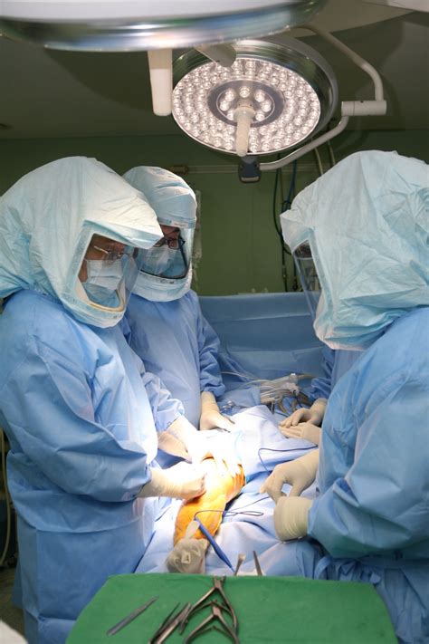 “무수혈 인공관절수술 감염 우려 적고 예후도 좋다” 서울신문