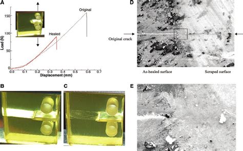 Mending Effi Ciency Of Polymer 3 A Mending Efficien Cy Obtained Download Scientific