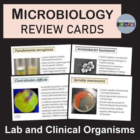 Mlt Microbiology Cards Etsy